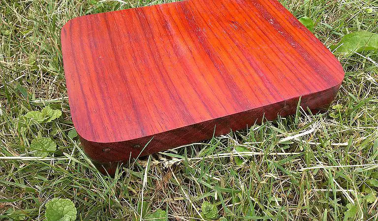 Top 20 Hardest Wood In The World (Based On Janka Hardness)