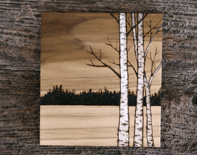 10 Best Wood For Pyrography (Affordable & Easy To Work With)