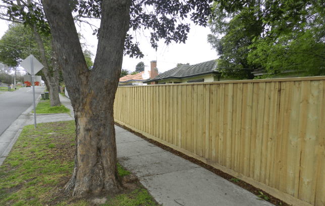 10 Best Wood For Fencing & Fencing Posts (Most-In-Demand)