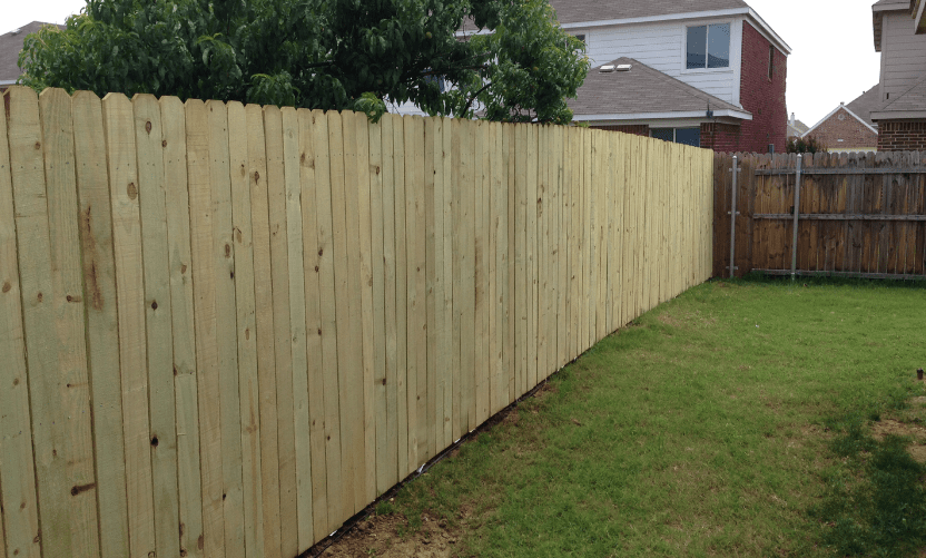 10 Best Wood For Fencing & Fencing Posts (Most-In-Demand)