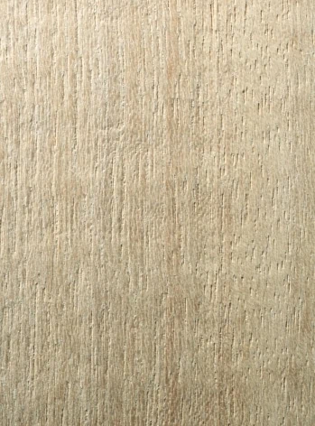 What Is Meranti Wood, Its Types, Properties, & Uses