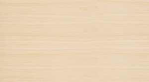 Top 10 Light-Colored Wood For Your Next Project (Ranked)