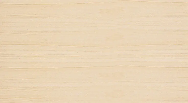 Top 10 Light-Colored Wood For Your Next Project (Ranked)