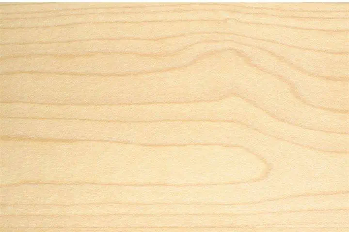 Top 10 Light-Colored Wood For Your Next Project (Ranked)