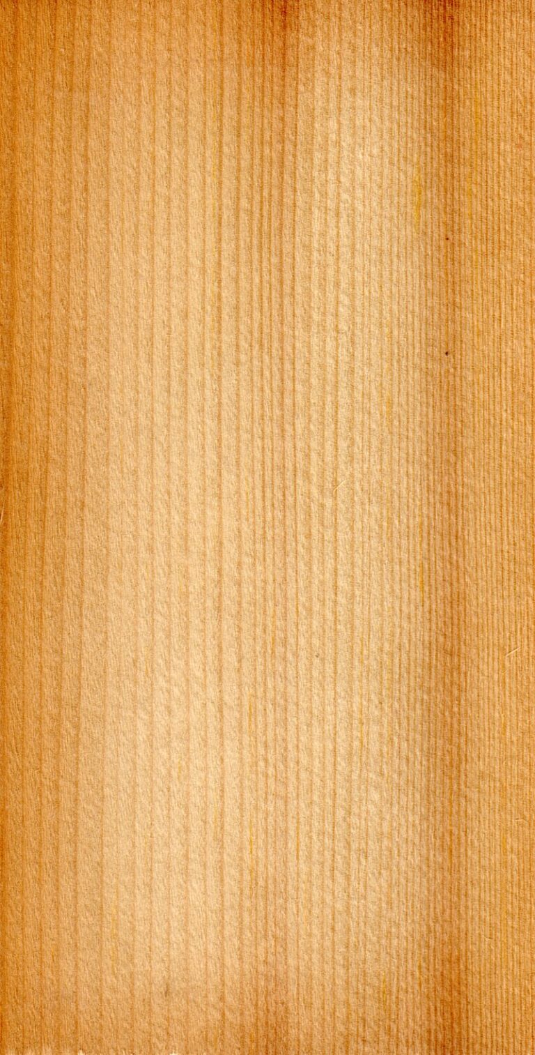 Top 10 Light-Colored Wood For Your Next Project (Ranked)